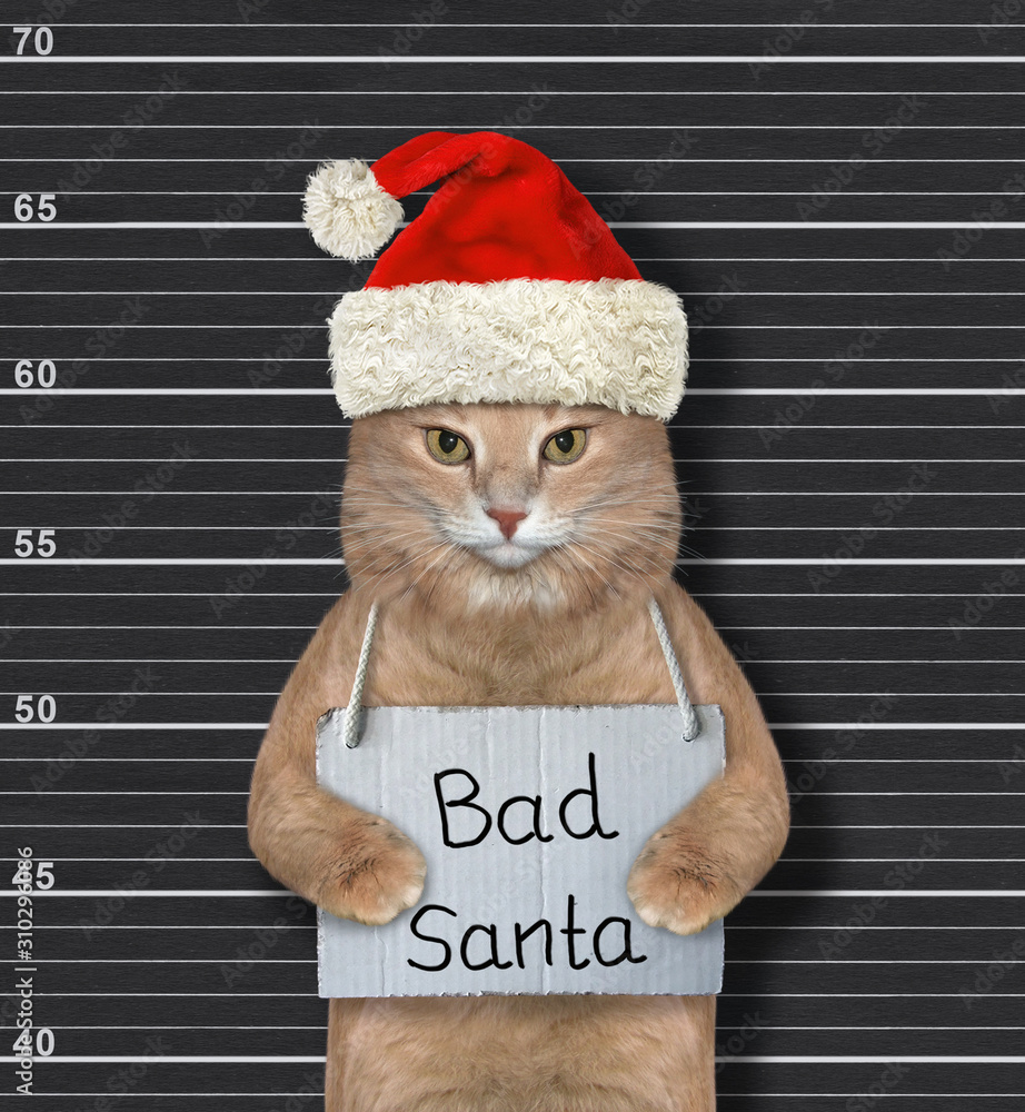 The beige cat in a red Santa Claus hat with a poster on his neck that ...