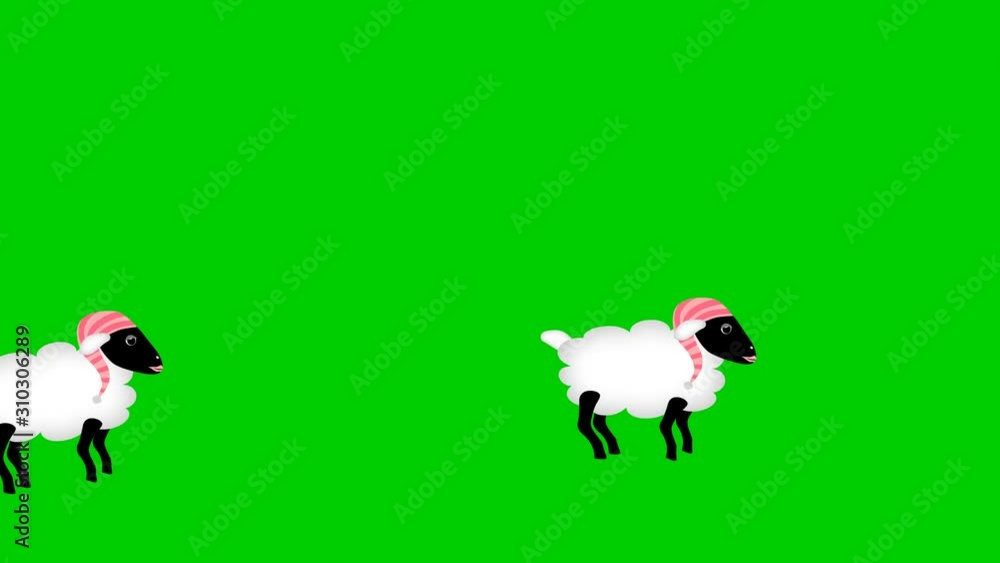 Counting Sheep that Jumping on a field cartoon animation on green ...
