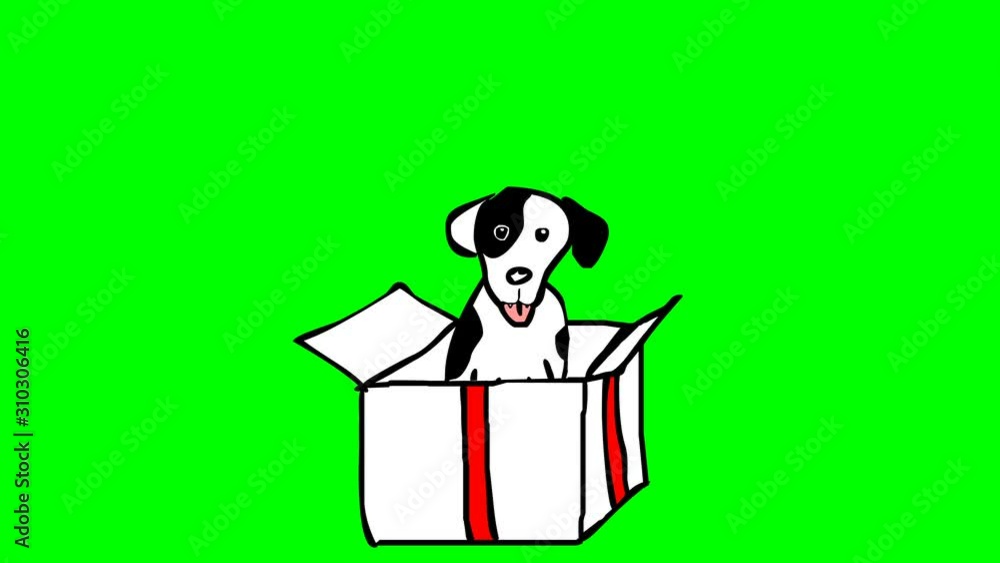 Cute dog in a box. Bithday present hand drawn cartoon style animation ...