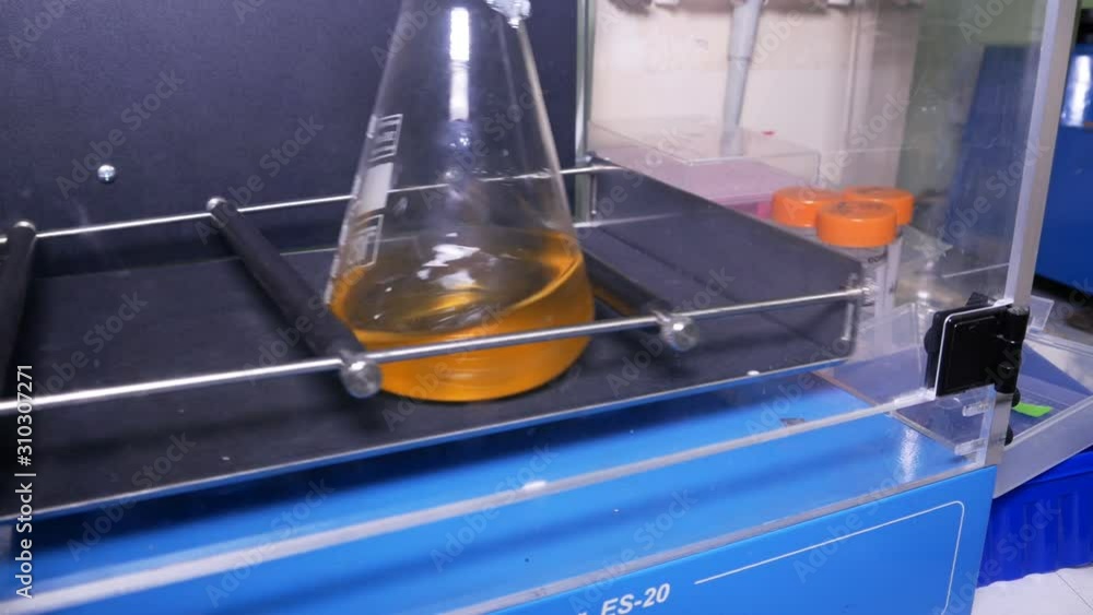 Flask in thermostat with shaker. A flask with e.coli cell culture Stock ...