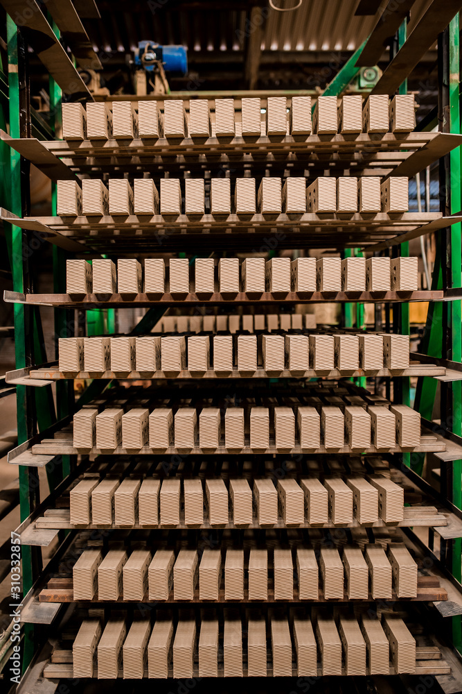 Plant for the production of bricks from clay. Plant for production ...