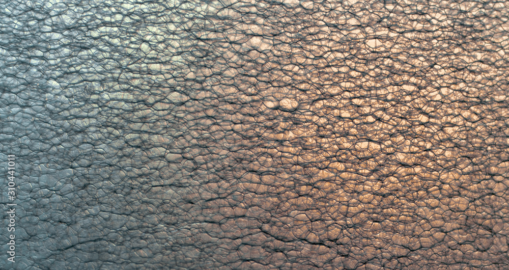 Transparent organic film texture. The evening sun highlighted a ...