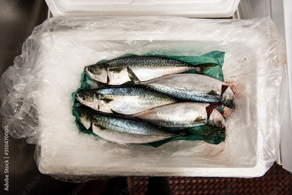 Ma Saba Mackerel fish in cooler Stock Photo | Adobe Stock