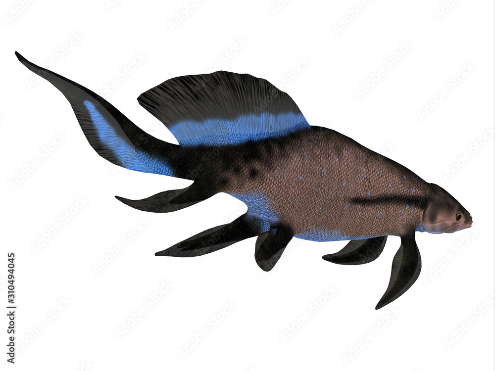 Devonian Lungfish