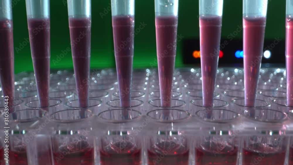 Automated DNA Processor real-time PCR cycler. PCR robotic machine for ...