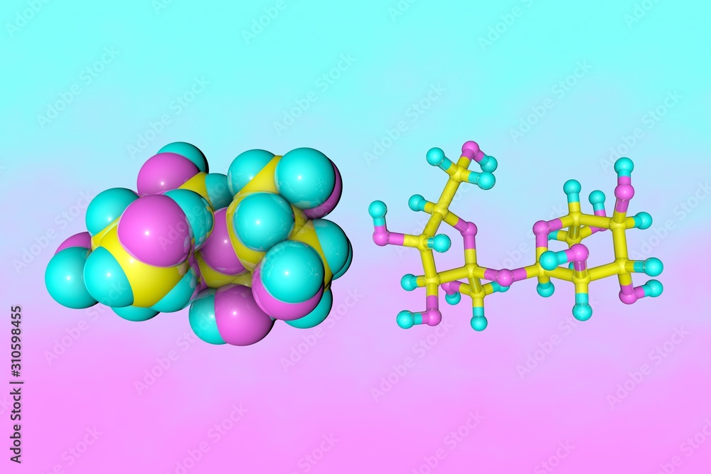 Molecular model of sucrose. It is a disaccharide composed of two ...