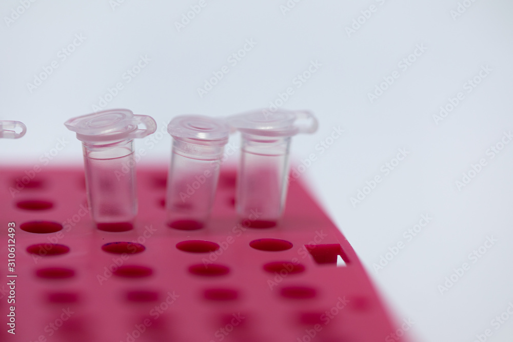Polymerase Chain Reaction (PCR) and Agarose gel electrophoresis is a ...