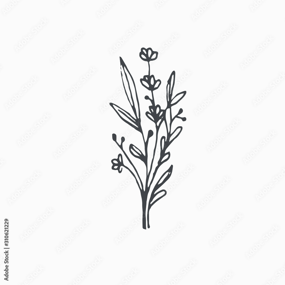 Tiny Leaves Plants Hand drawn vector illustration for logo, invitations ...