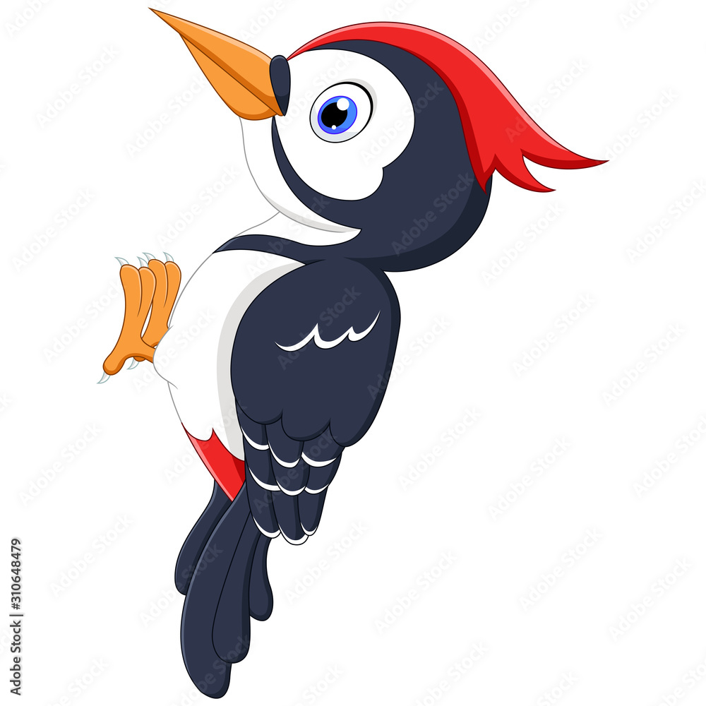 A woodpecker bird cartoon isolated on white background Stock Vector ...