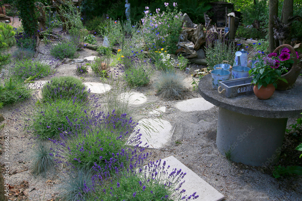 Lavendel und Kräuterbee, Neubepflanzung im Sandbeet Stock-Foto | Adobe ...