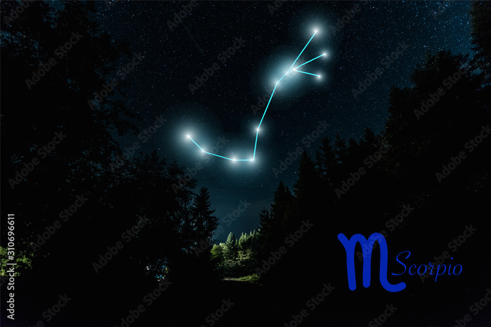 dark landscape with night starry sky and Scorpio constellation Stock ...
