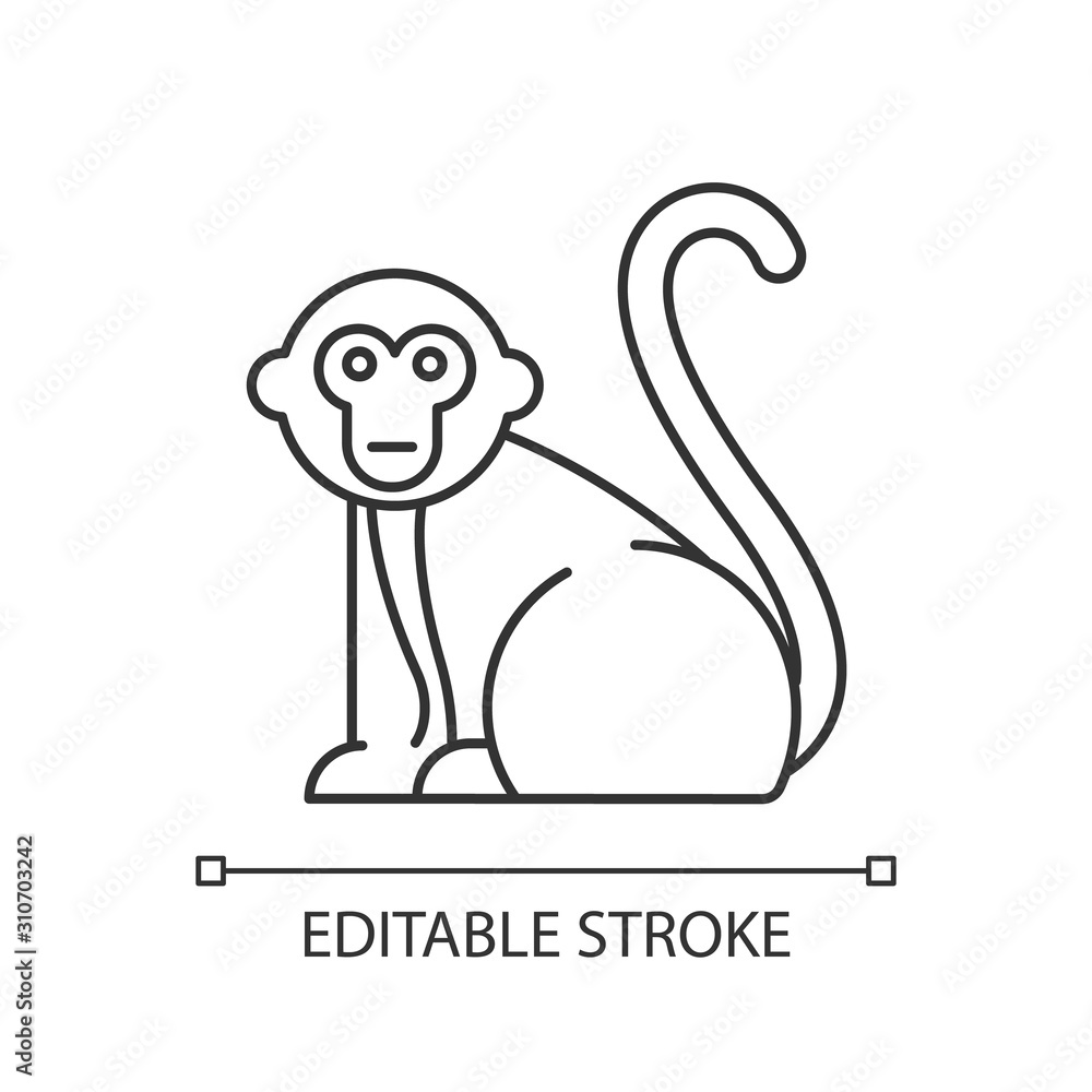 Monkey linear icon. Tropical country animal. Trip to Indonesia zoo ...