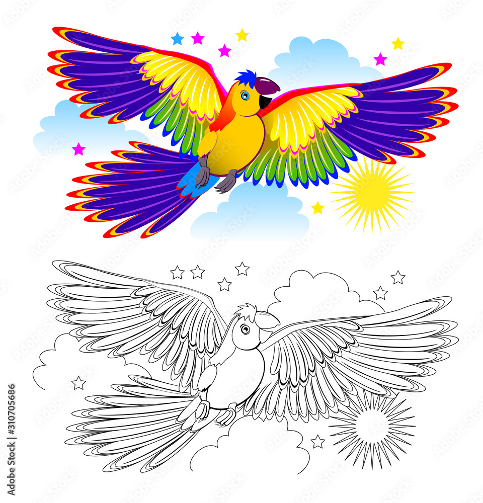 Parrots Flying Drawing