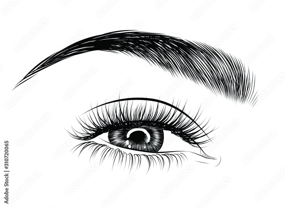 Fashion illustration of the eye with long full lashes. Hand drawn ...