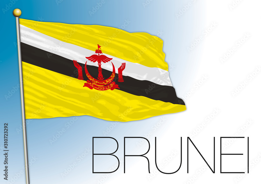 Poster Brunei sultanate official flag, vector illustration – Wall Art ...