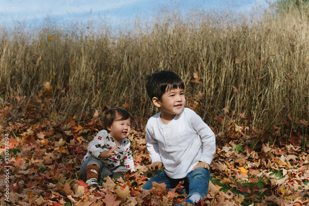 Kids playing in fall leaves Stock Photo | Adobe Stock