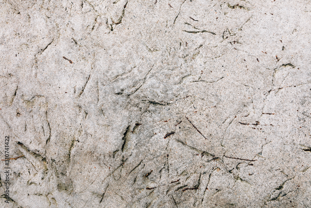 Rough concrete surface texture Stock Photo | Adobe Stock