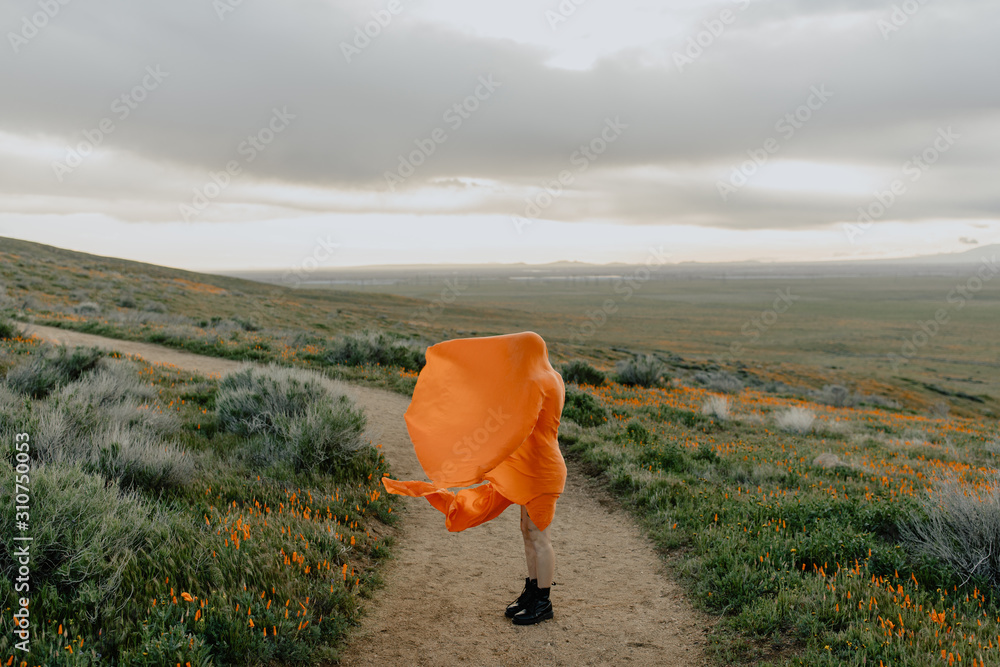 Windy, Orange, Spring Stock Photo | Adobe Stock