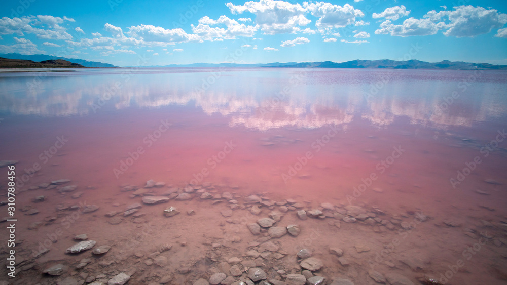 Overlooking the Great Salt Lake in pink color due to halophilic ...