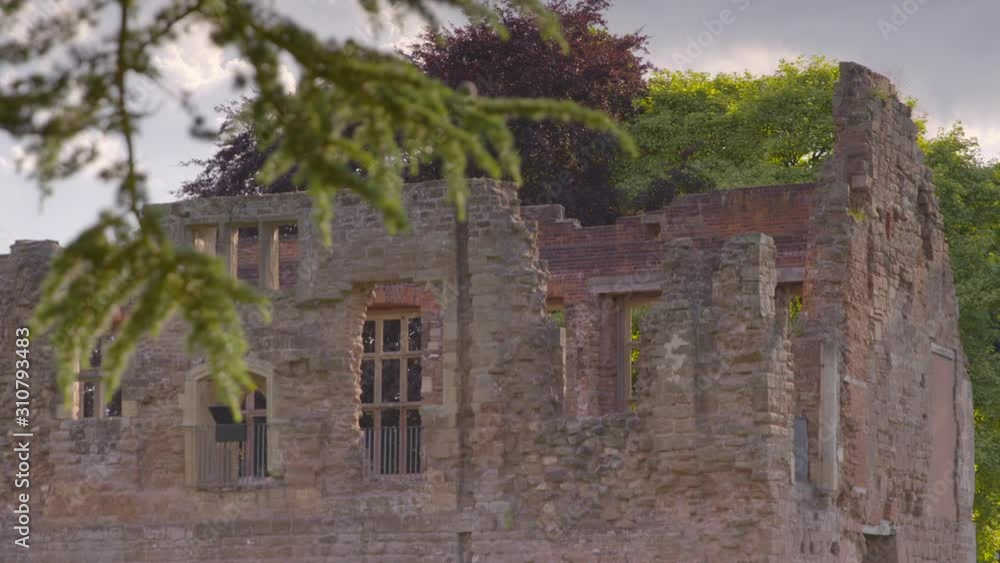 A depth-of-focus, zooming shot of the leaves of a tree with a nearby ...