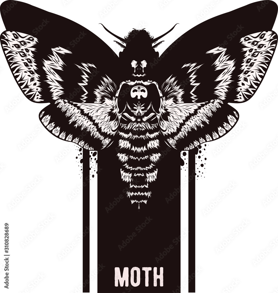 Graphic vector of moth. Illustration for print of t-shirts, mugs, pens ...