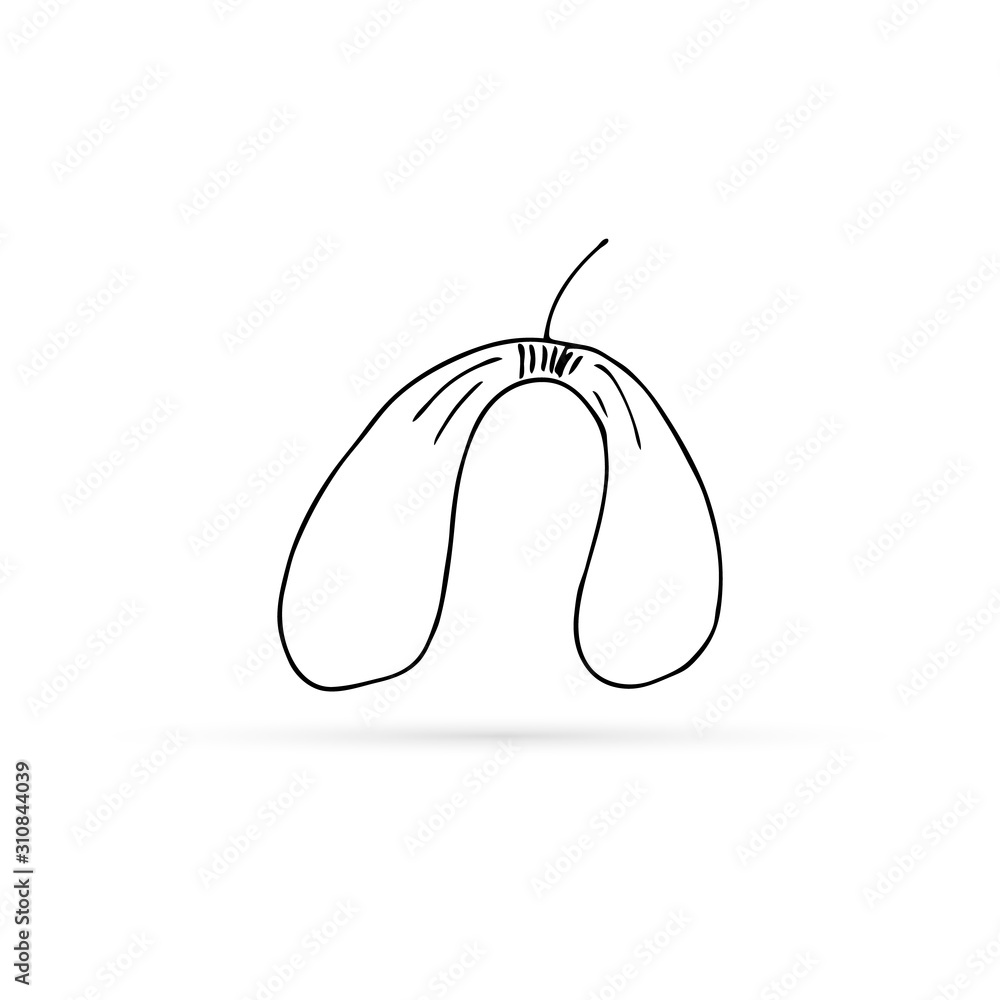 doode maple seeds icon isolated, outline kids hand drawing art line ...
