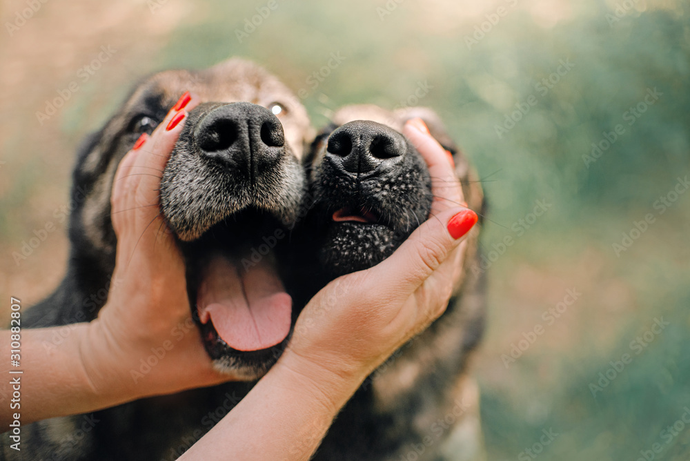 Dogs With Human Hands