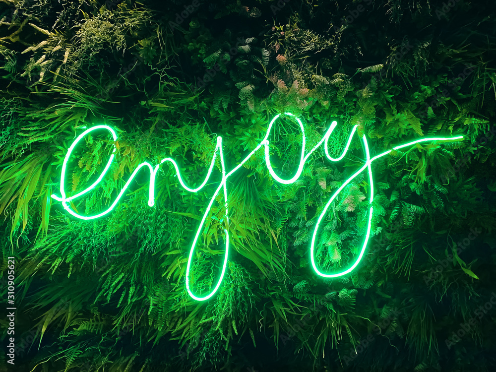 LED sign Enjoy. Live neon sign on the leaves wall background. Stock ...
