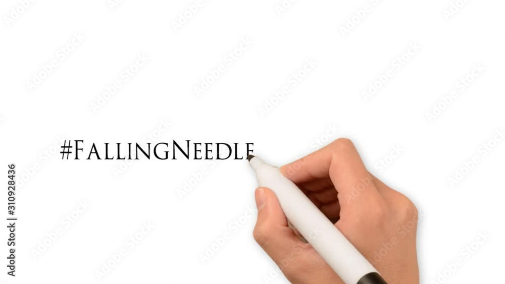 2D ANIMATION WISHING FALLING NEEDLES FAMILY FEST DAY. Get the family ...