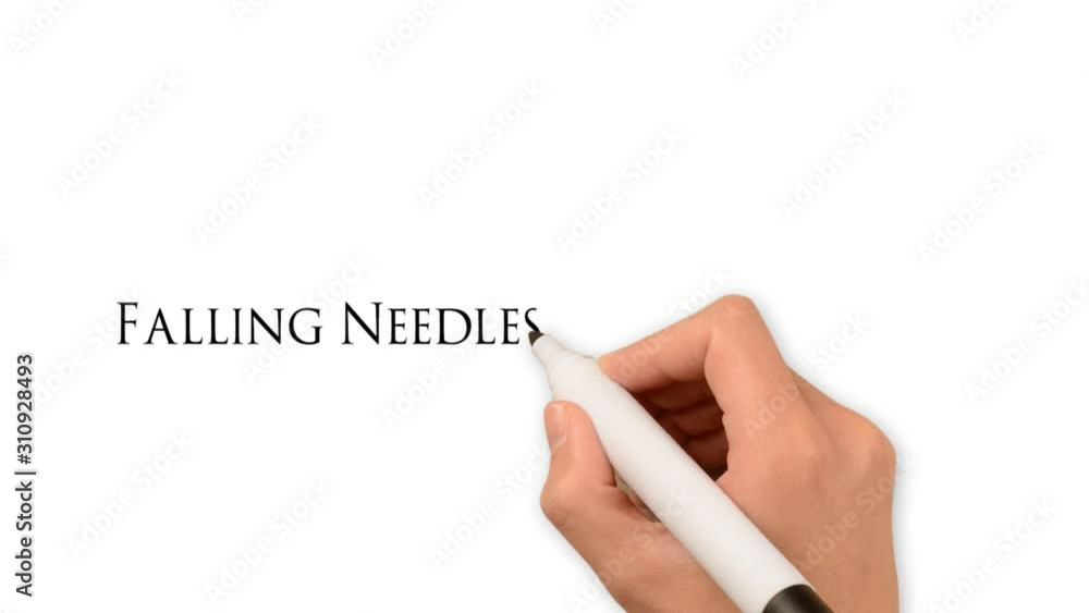 2D ANIMATION WISHING FALLING NEEDLES FAMILY FEST DAY. Get the family ...