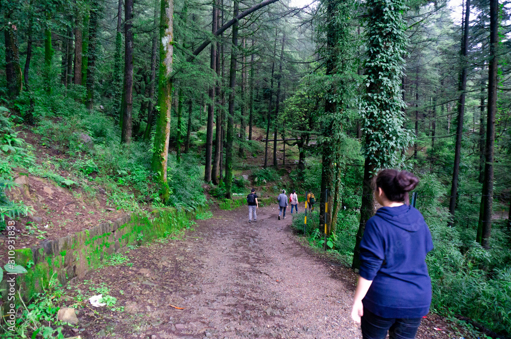 Young indian woman walking trekking on a path on the mountain ranges of ...
