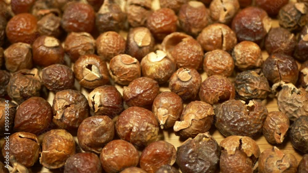 Soap nuts Indian soapberry or washnut, Sapindus mukorossi reetha or ...