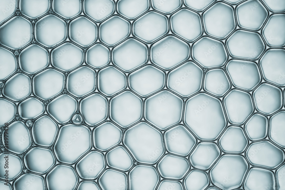 Cells division process, Cell divides into two cells Hazır Fotoğraf ...