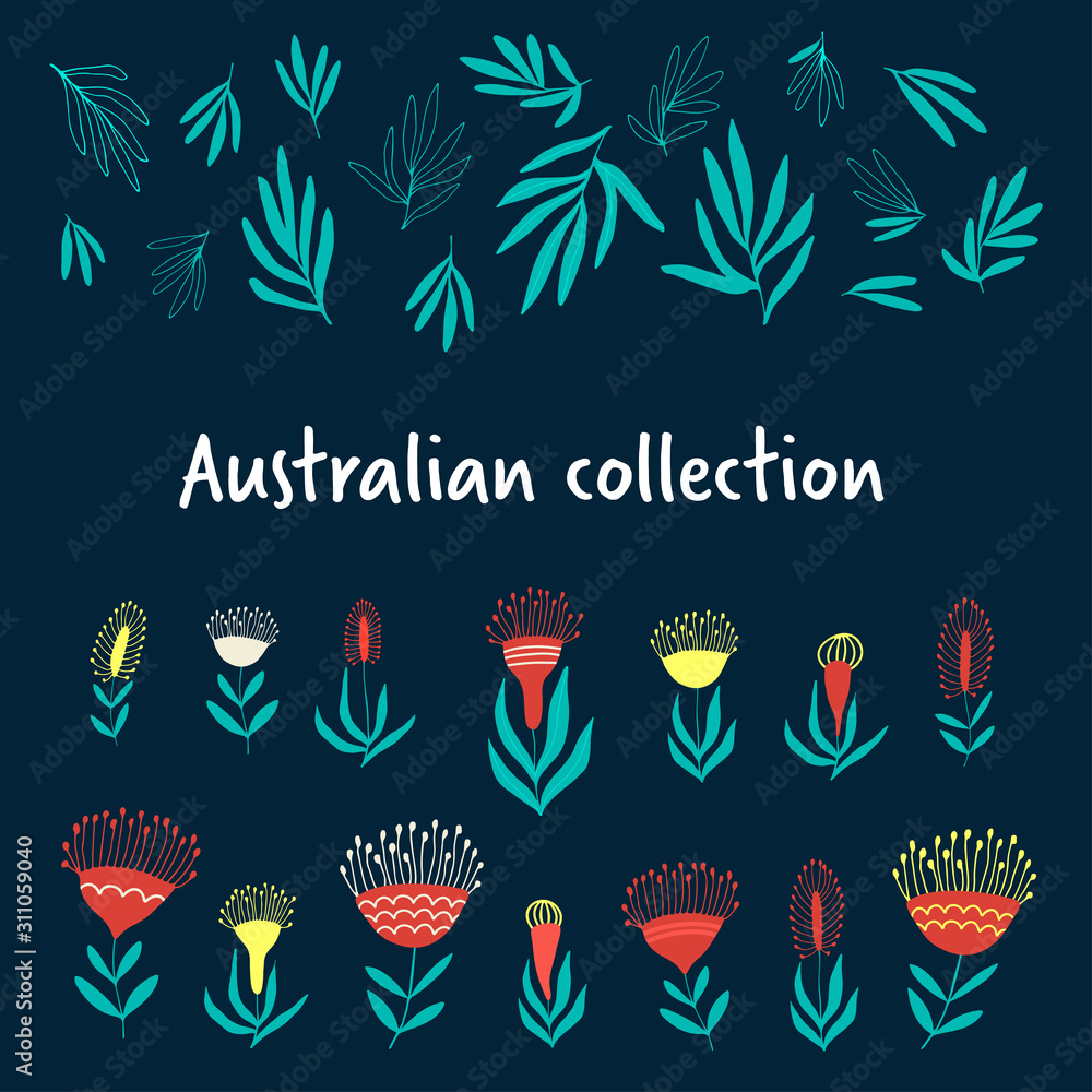 Native australian flowers and leaves, hand drawn decorative elements on ...