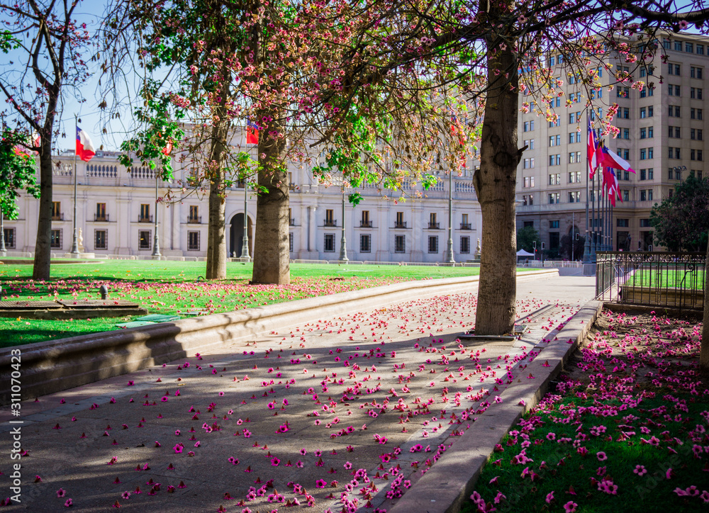 Palacio La Moneda, presidential palace, Santiago de Chile, Chile Stock ...
