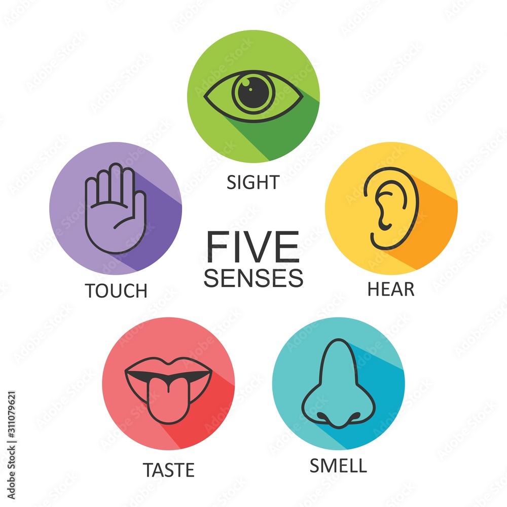 Human Senses Icon Vector Illustration Stock Vector Adobe Stock Human Senses Icon Vector Illustration Stock Vector Adobe Stock
