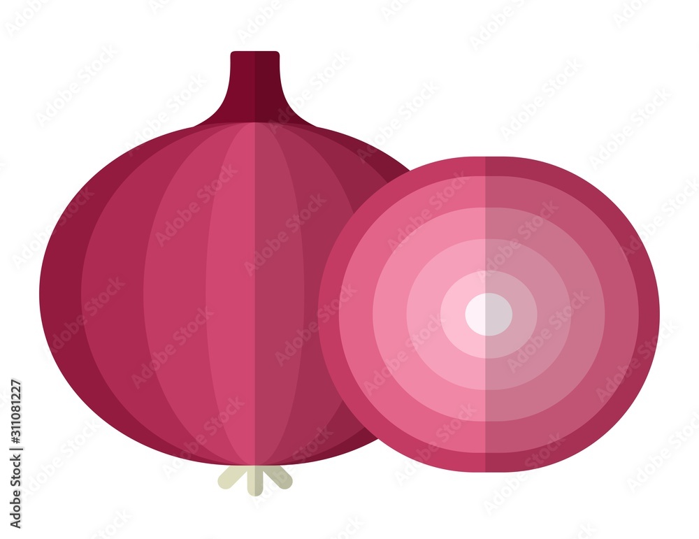 Red Onion Vector