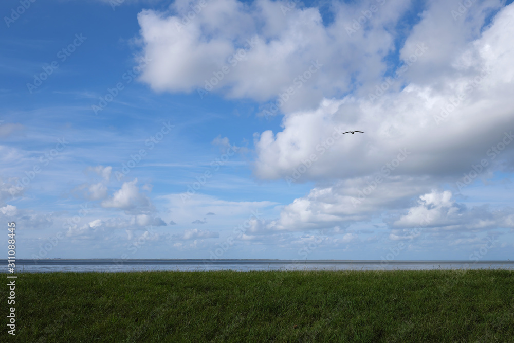 Foto de Blick über den Deich aufs Wattenmeer bei Norddeich an der ...