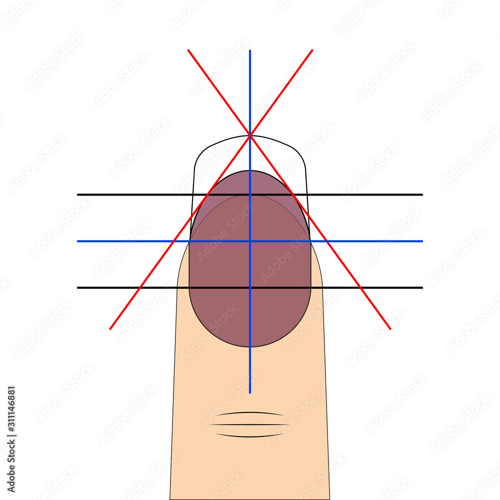 nail shape drawing diagram vector template to create fashionable nail ...