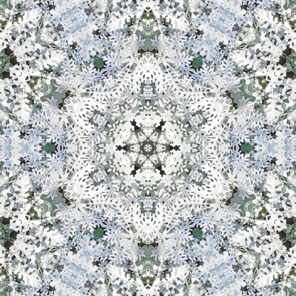 Ice crystal like pattern can be used as a decorative Christmas ...