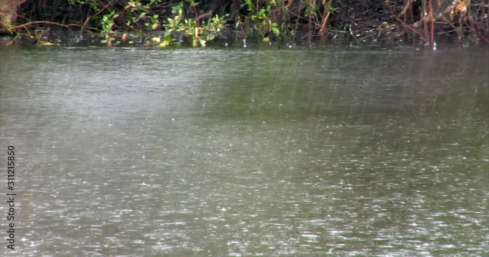 Amazon River, Riverscape, Island, Rain, Brazil: The River of the Dead ...