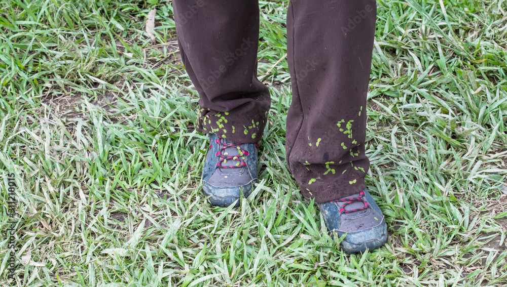 Foto de Carrapicho grudado na calça do Stock | Adobe Stock
