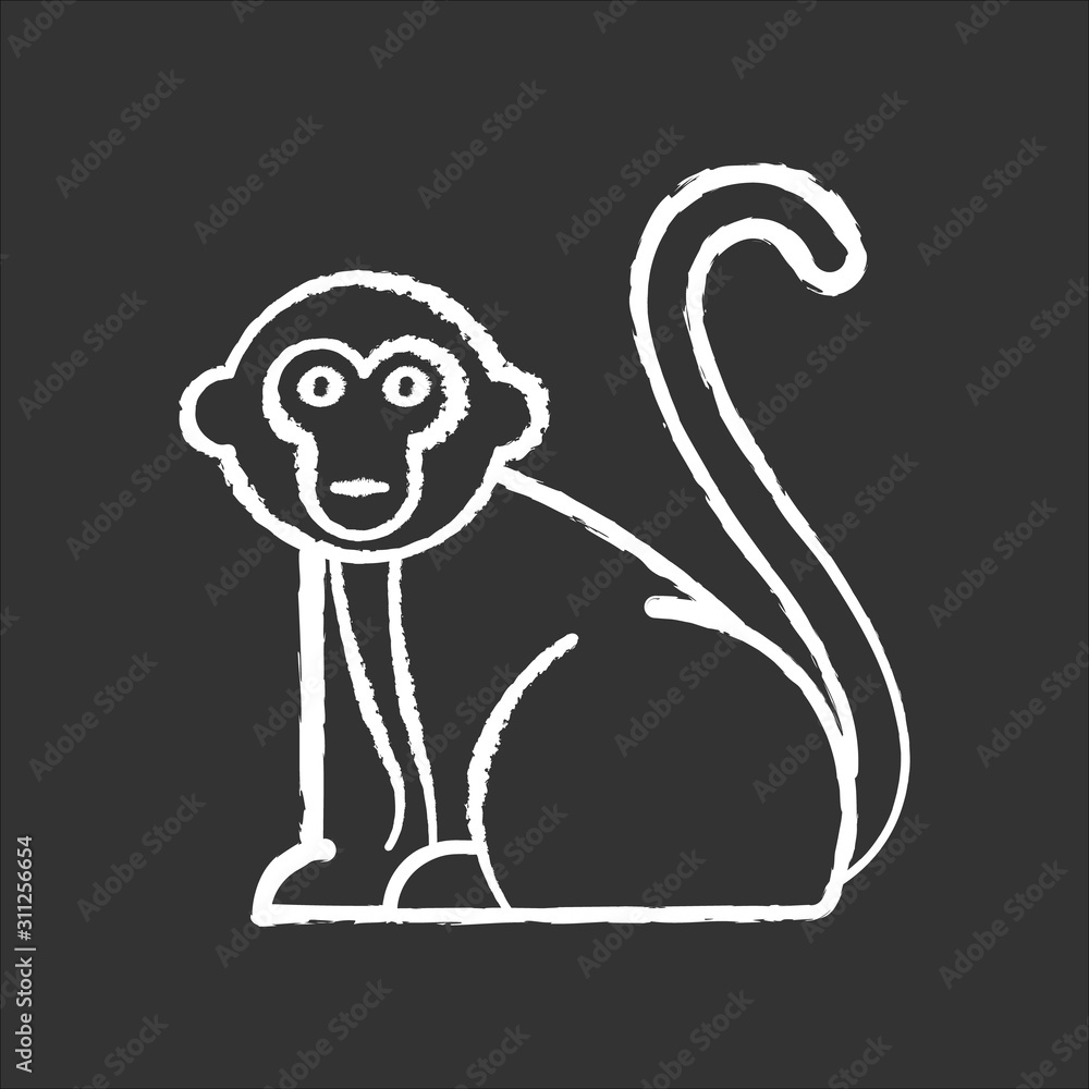 Monkey chalk icon. Tropical country animals, mammals. Trip to Indonesia ...
