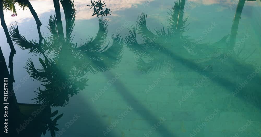 Reflection of tropical palm tree in blue clear water surface of ...