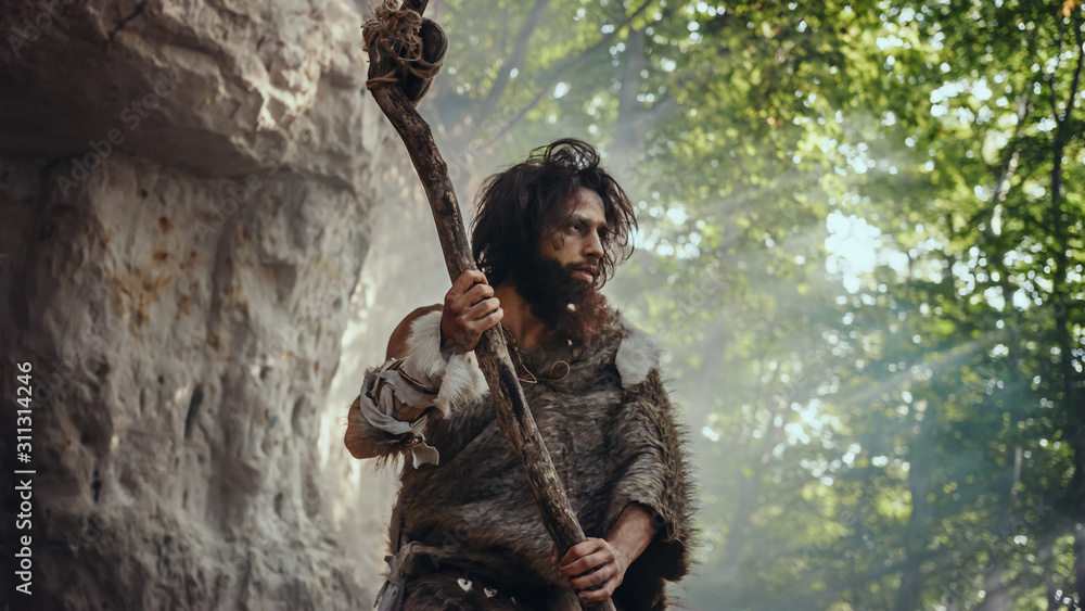 Primeval Caveman Wearing Animal Skin Holds Stone Tipped Hammer Comes ...