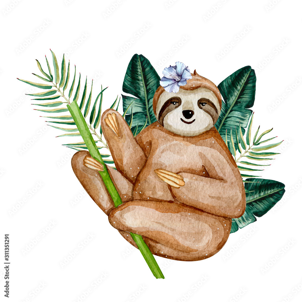 Watercolor hand drawn cute sloth with tropical leaves isolated on white ...