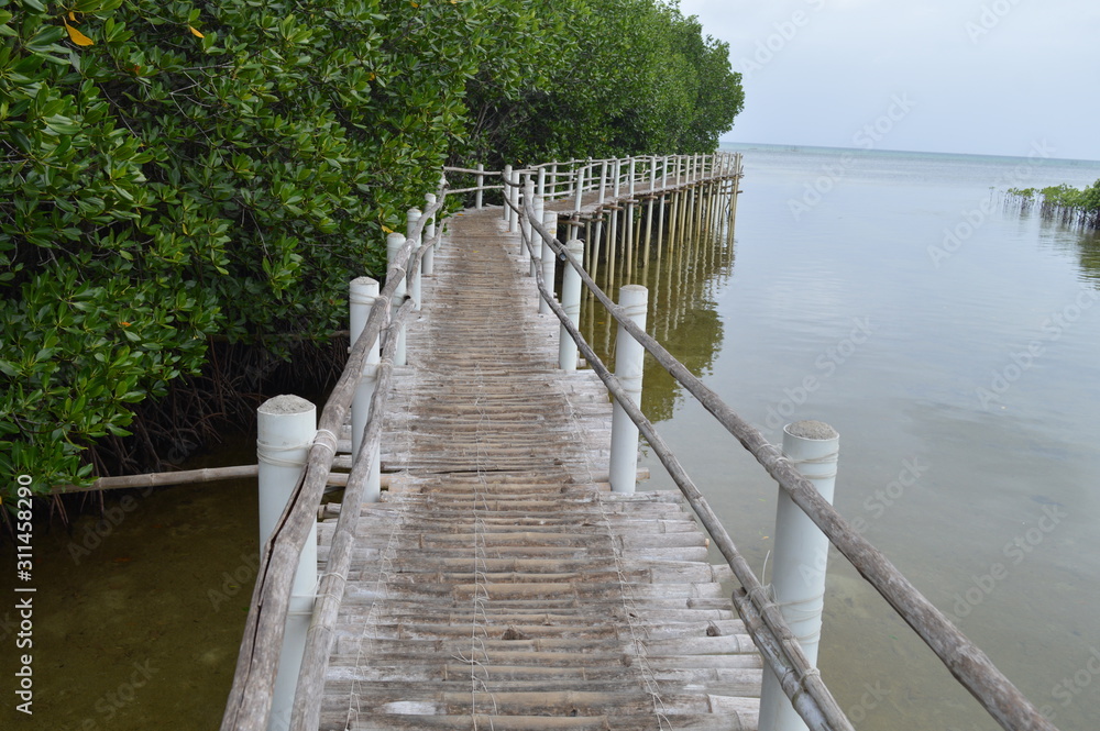 Board Walk/Elevated Wooden Walkway Through the Mangrove Forest on ...