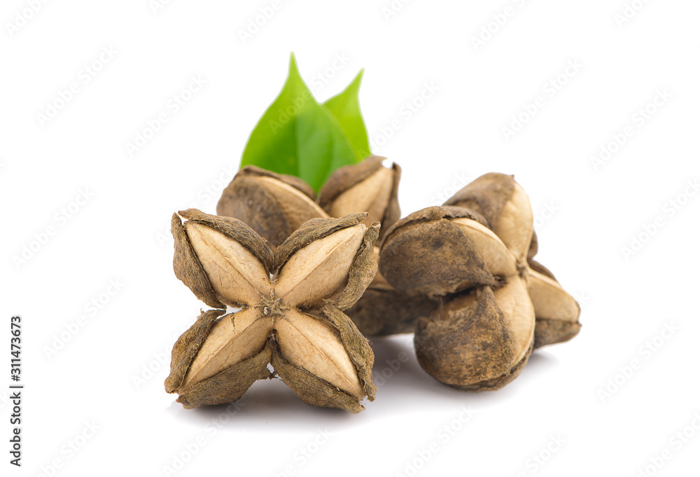 Nuts Incas , sacha inchi peanut seed an isolated on white background ...