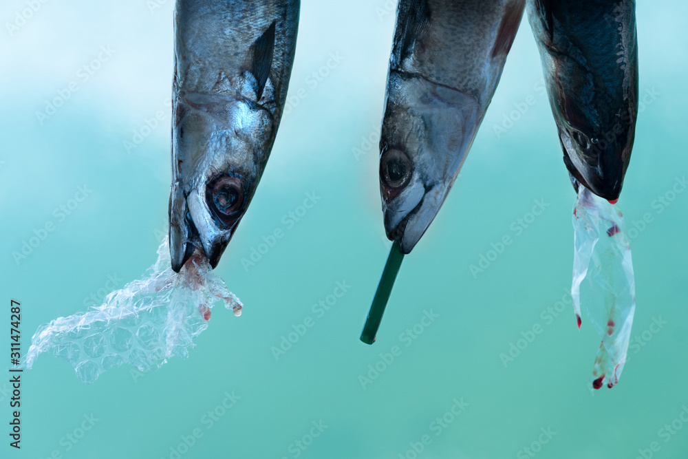 three mackerel fish eating plastic garbage film and straw with ...