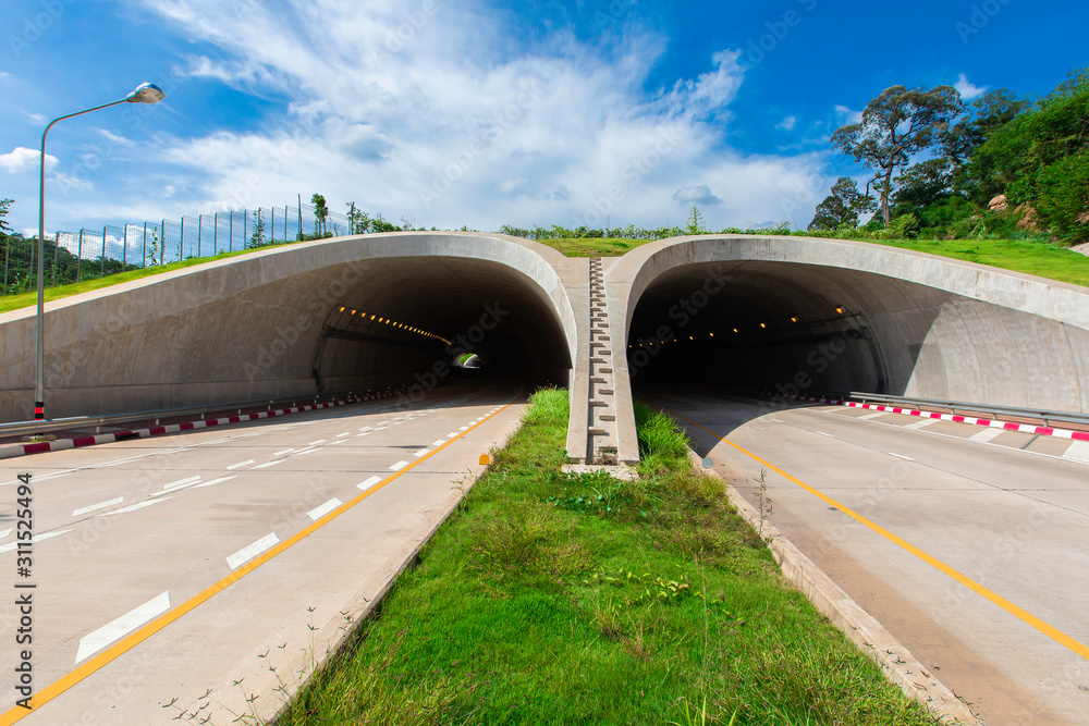 Bridge for animals over a highway and blue sky with gray clouds ...